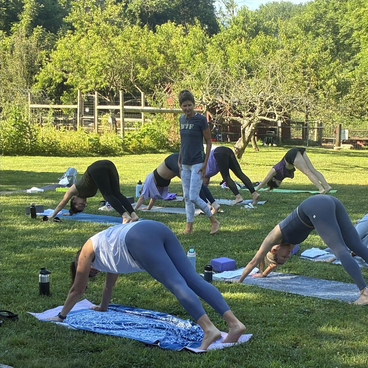 Early morning Adult Vinyasa Yoga at Wakeman Town Farm - SoulBeing